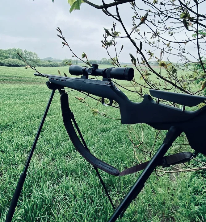 Sauer 100 Pantera Review: Bolt-Action Hunting Rifle in 6.5 Creedmoor ...